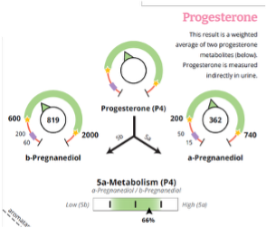 Symptoms and Support of Low Progesterone | DUTCH Test Blog