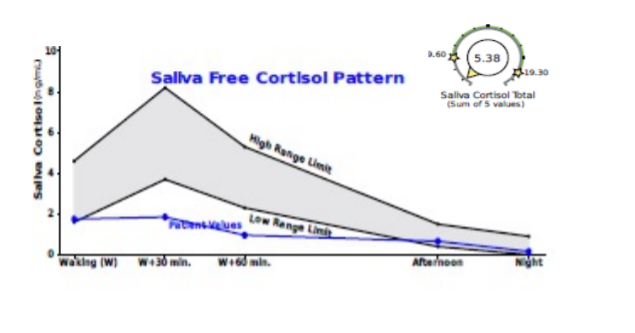Cardiovascular Health and the DUTCH Test