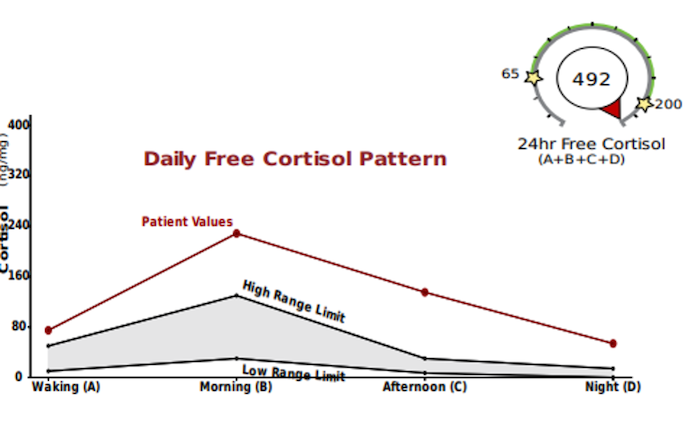 Cardiovascular Health and the DUTCH Test